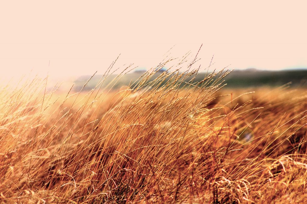 Press Release - It Is Time To Awaken The Church From Its Slumber As ...